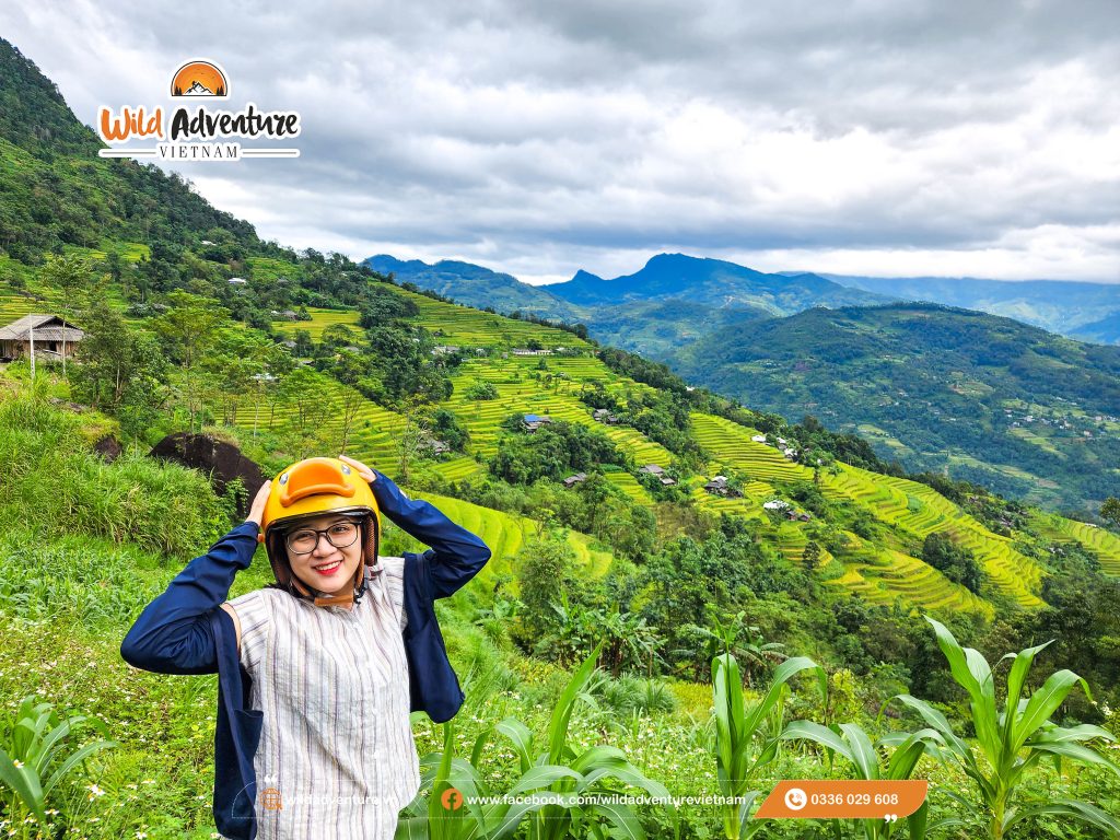 TOUR KHÁM PHÁ HOÀNG SU PHÌ - MÙA VÀNG HÀ GIANG - Wild Adventure